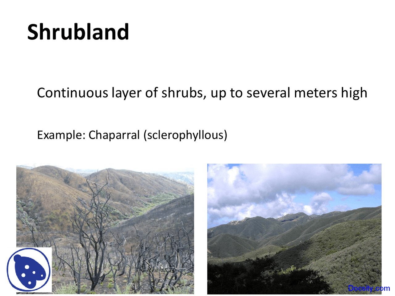 Shrubland - Geography - Lecture Slides | Slides Geology | Docsity