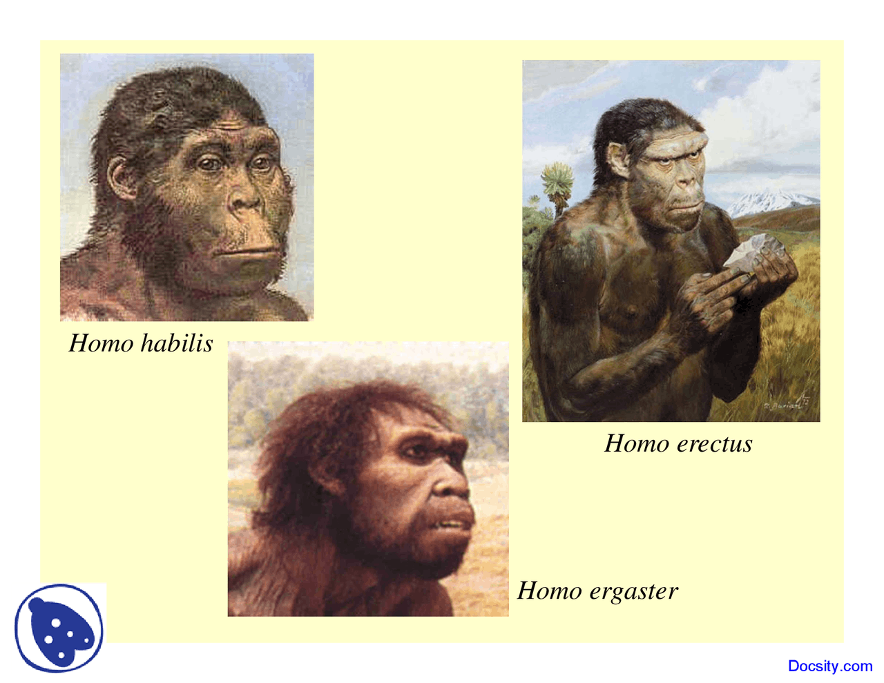 Diseases Geography Lecture Slides Docsity