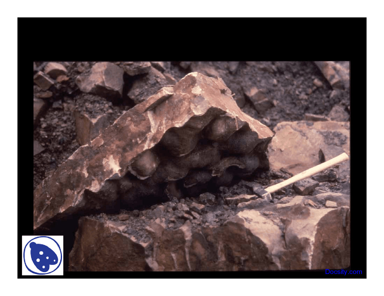 Pillar Structures Stratigraphy Lecture Slides Docsity