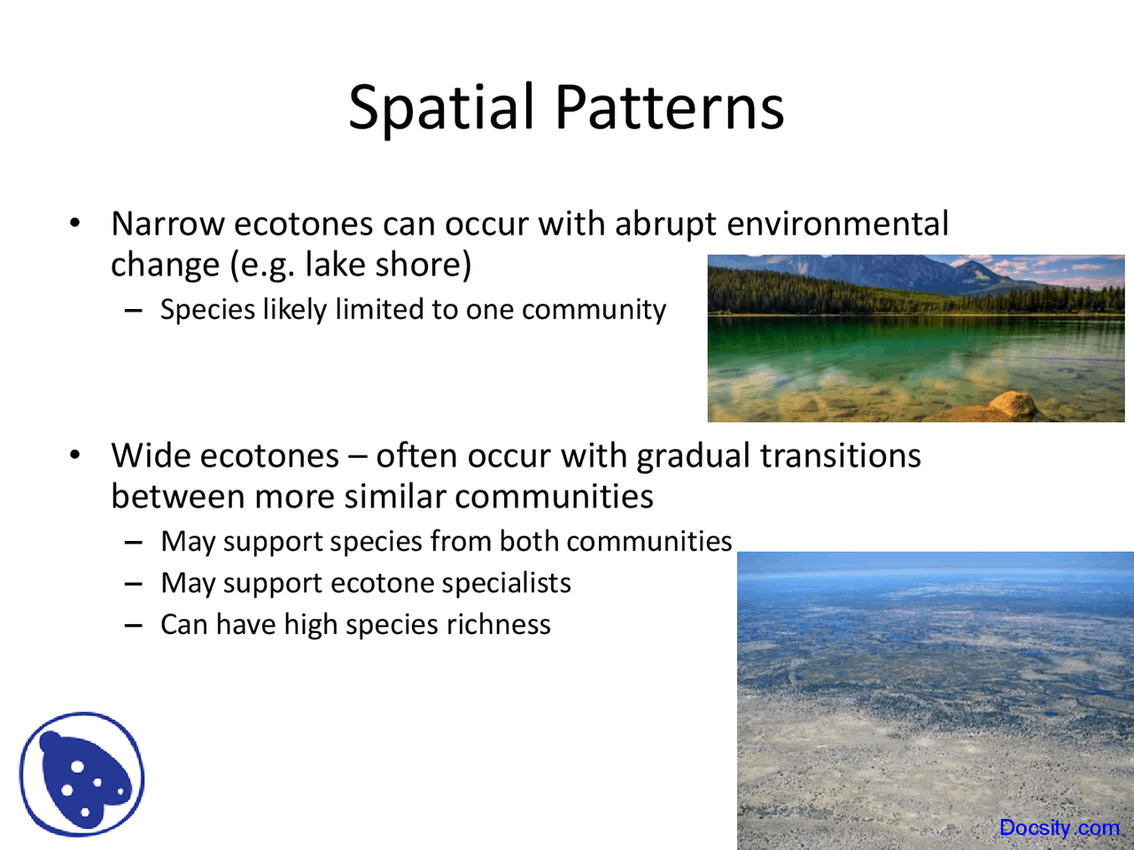 Spatial Patterns Geography Lecture Slides Docsity