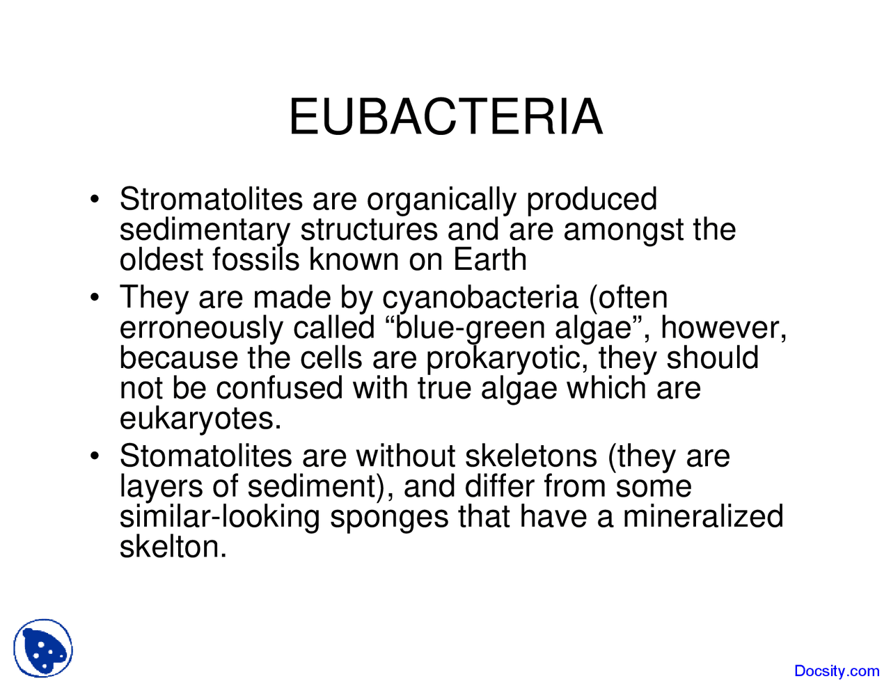 Eubacteria Environmental Geology Lecture Slides Docsity