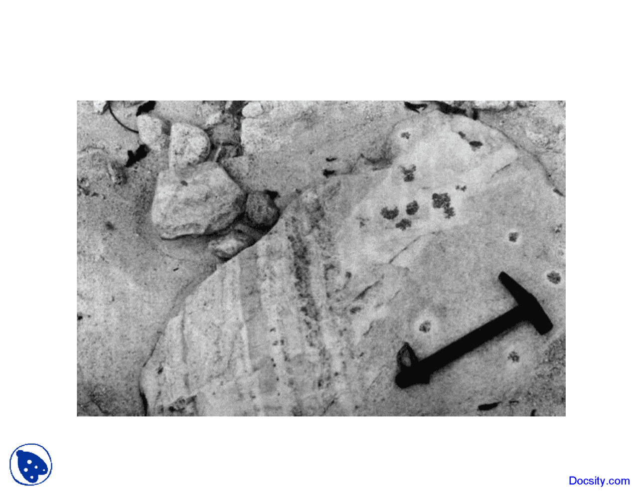 Biotite Geochemistry I Lecture Slides Docsity
