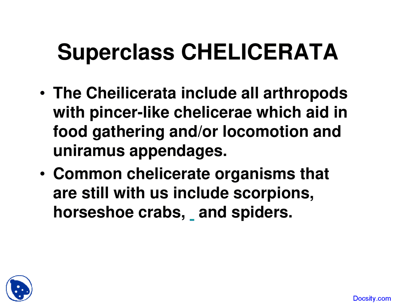 Cheilicerata Environmental Geology Lecture Slides Docsity