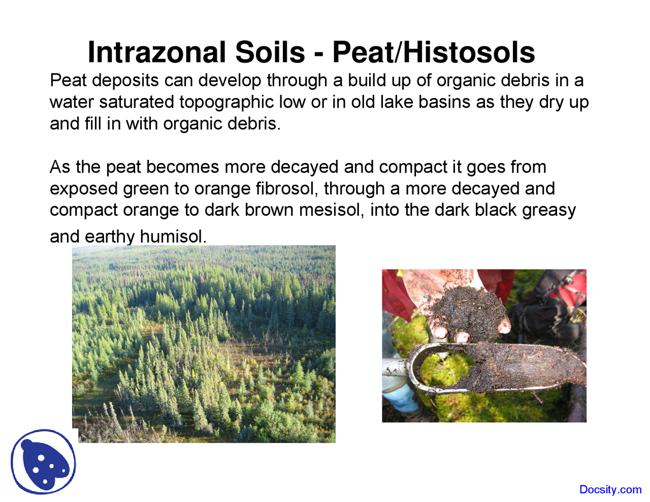 Intrazonal Soils - Geochemistry I - Lecture Slides - Docsity
