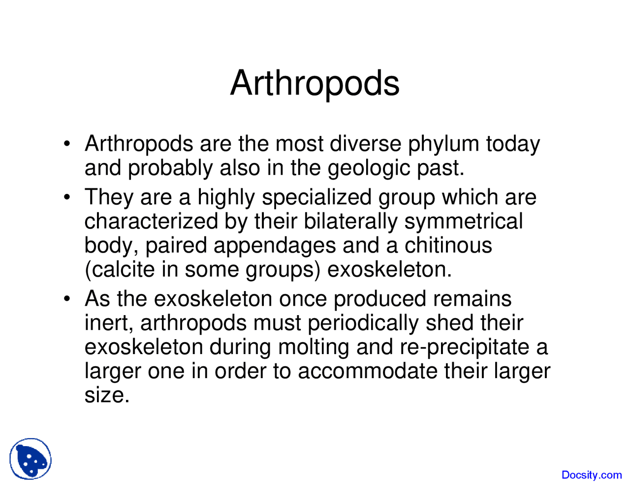 Arthropods - Environmental Geology - Lecture Slides - Docsity