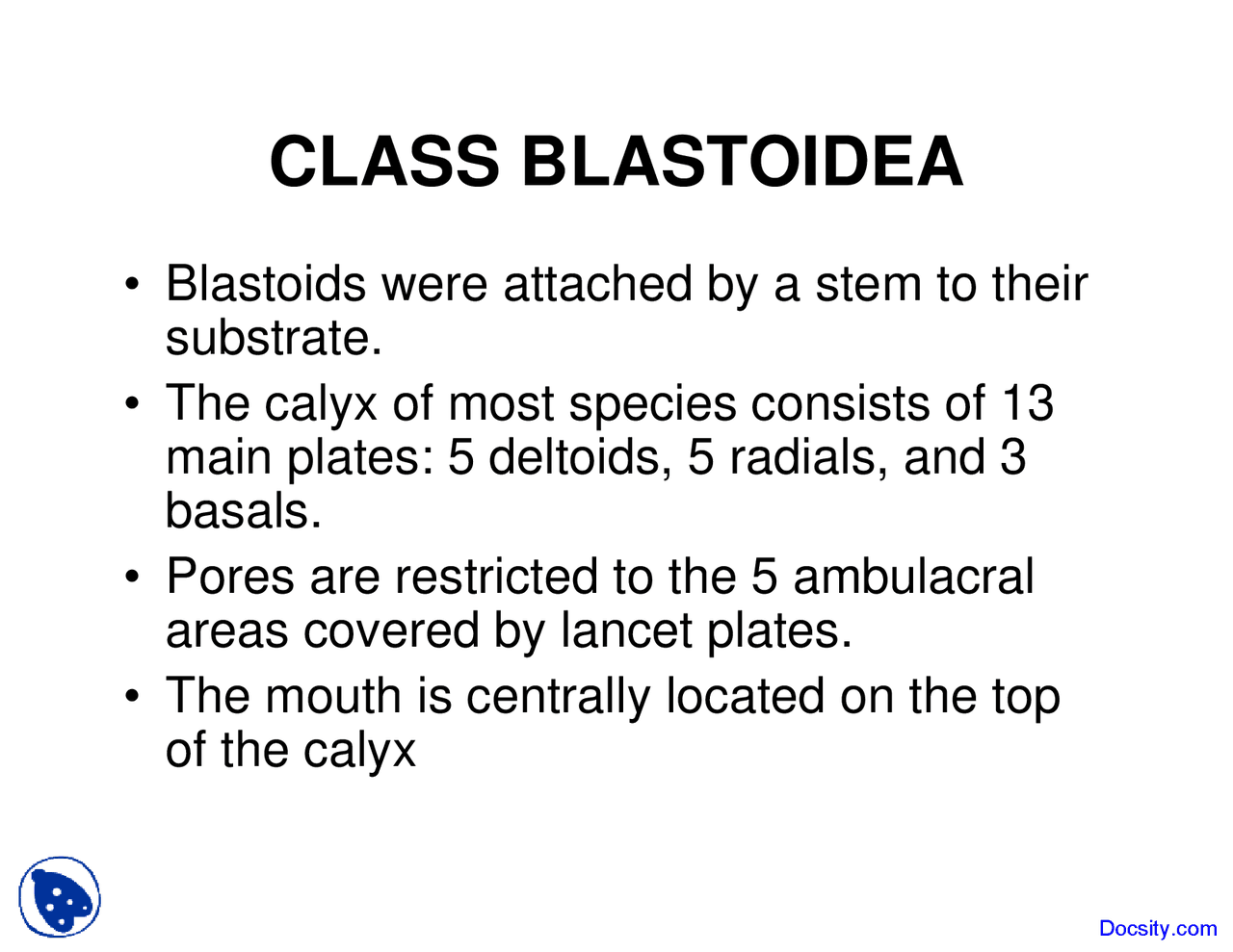 Blastoids - Environmental Geology - Lecture Slides - Docsity