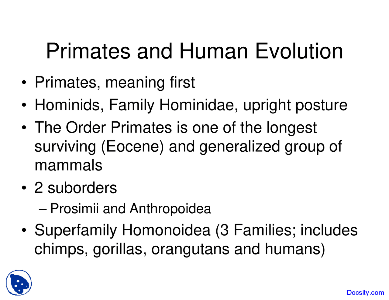 Primates Environmental Geology Lecture Slides Docsity