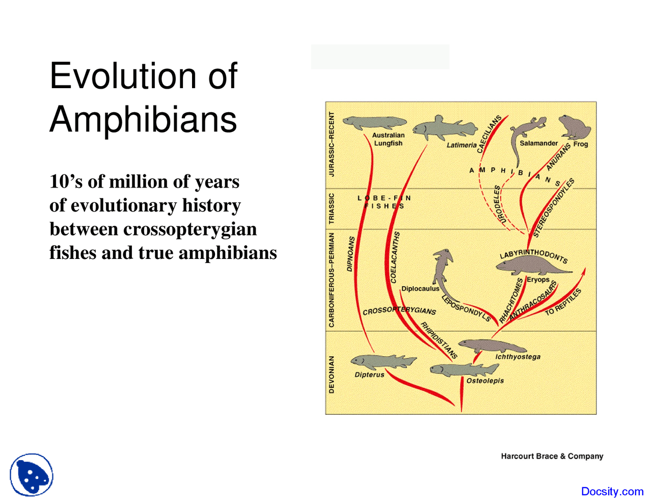 Evolution Environmental Geology Lecture Slides Docsity