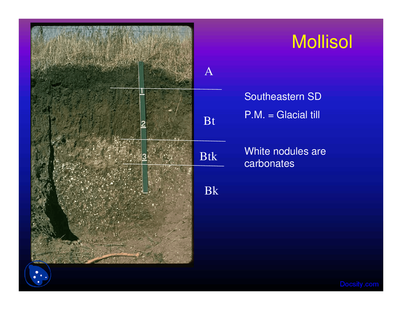 Mollisol Environmental Geology Lecture Slides Docsity