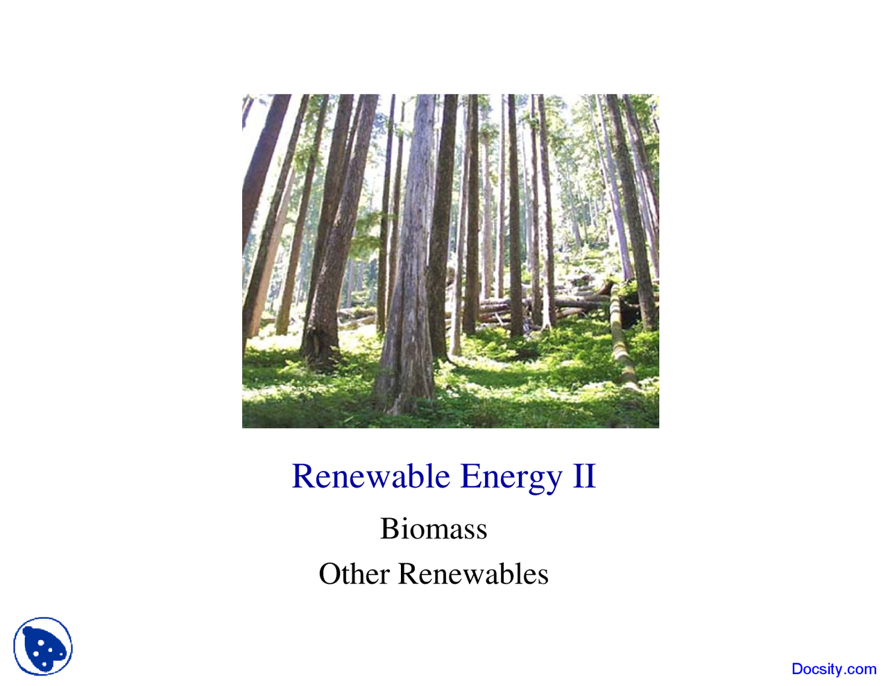 Biomass Energy And The Environment Lecture Slides Docsity