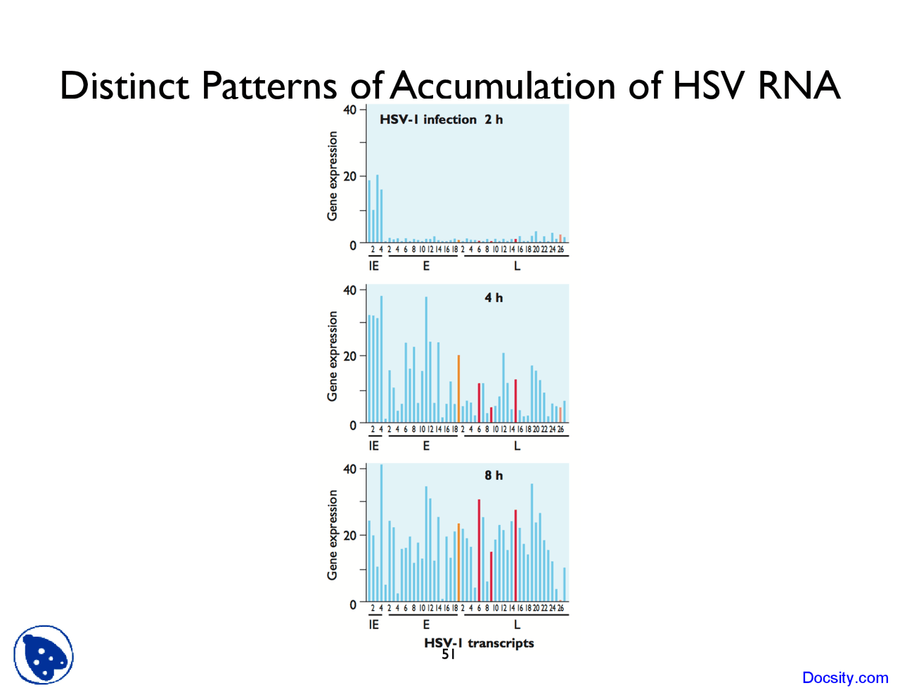 Distinct Patterns Human Resource Lecture Slides Docsity
