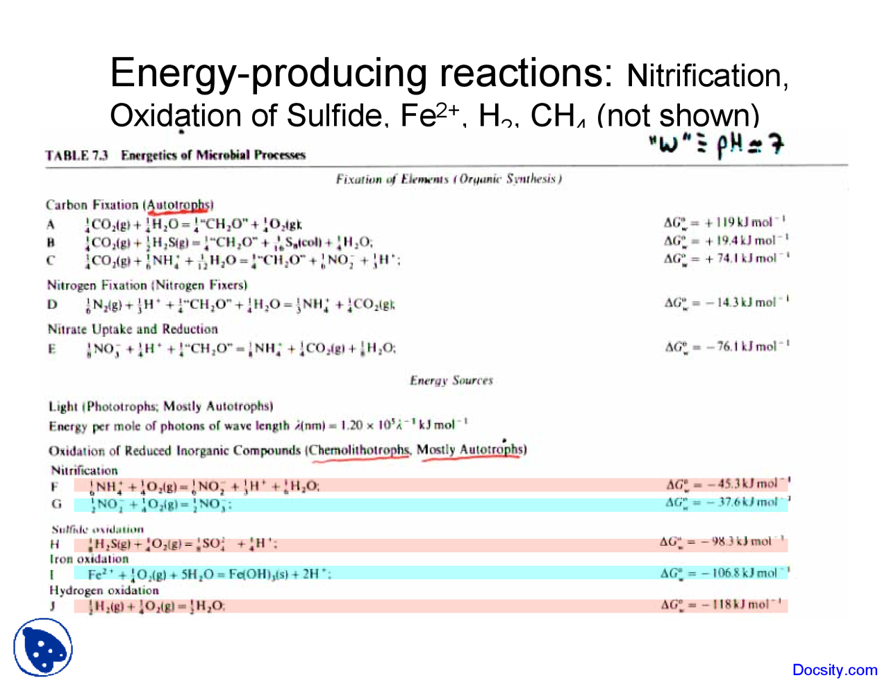 Nitrification Geochemistry Lecture Slides Docsity