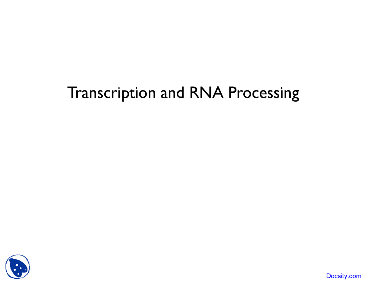 Transcription Human Resource Lecture Slides Docsity