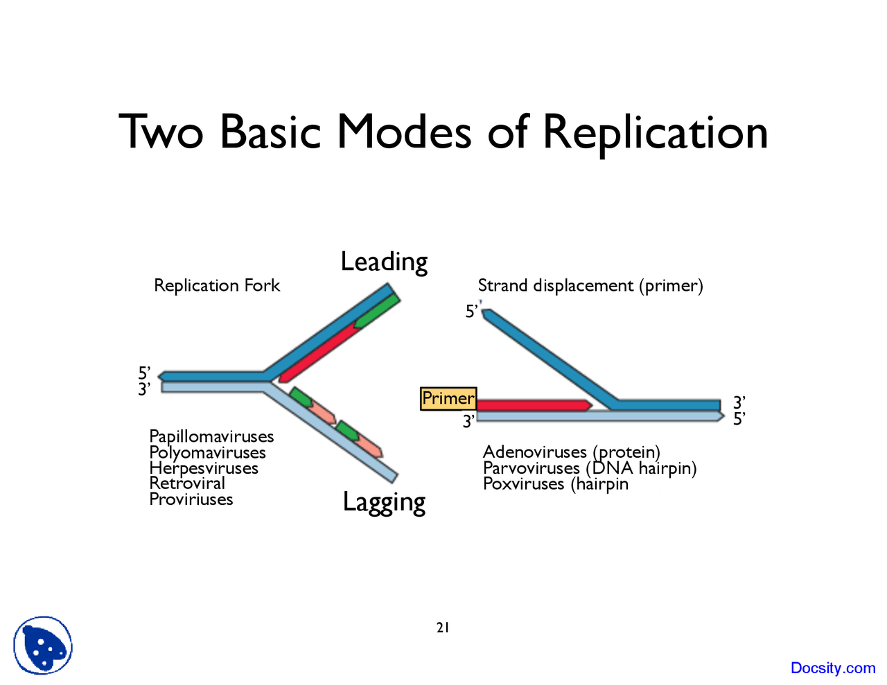 Replication Human Resource Lecture Slides Docsity