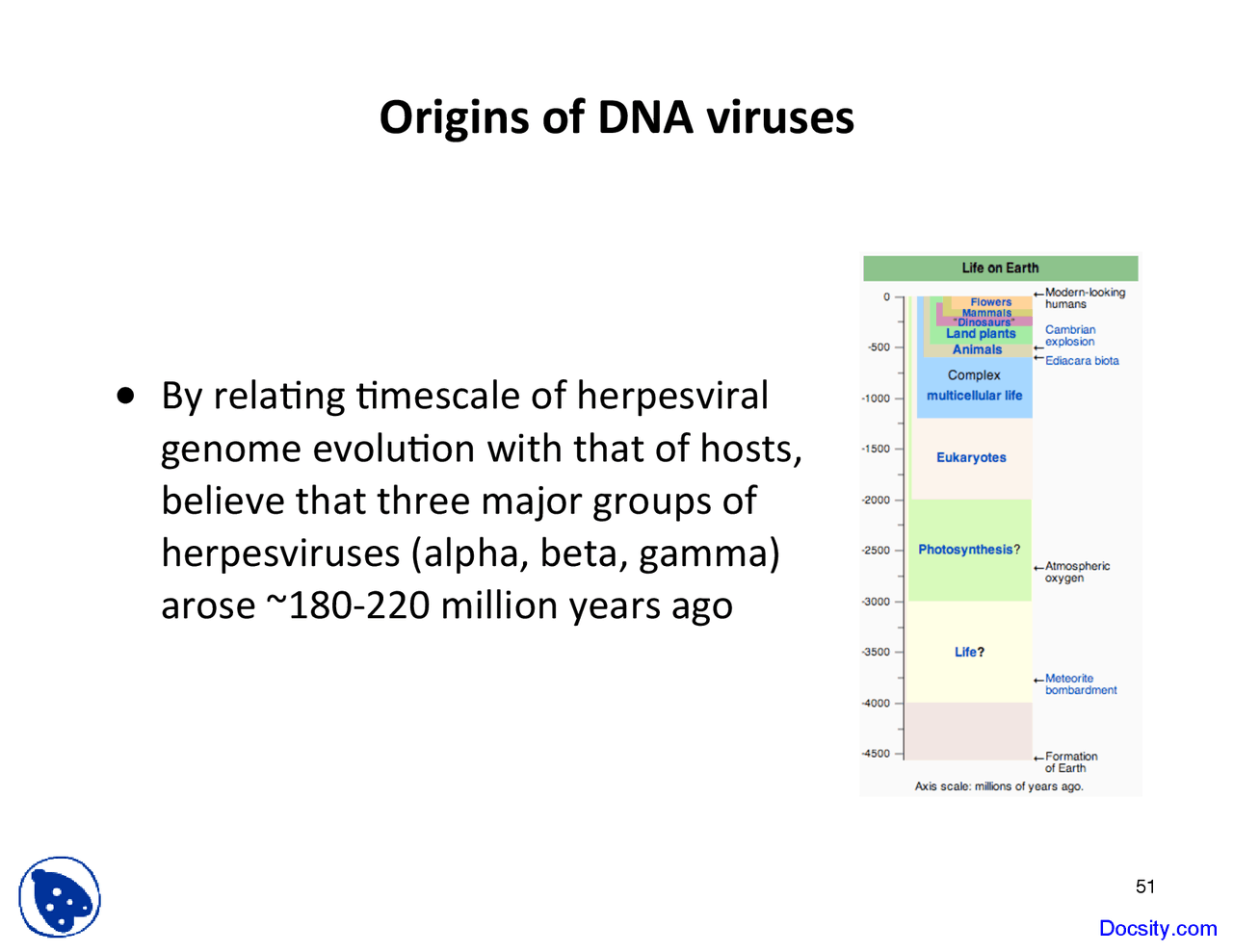 Origins Human Resource Lecture Slides Docsity