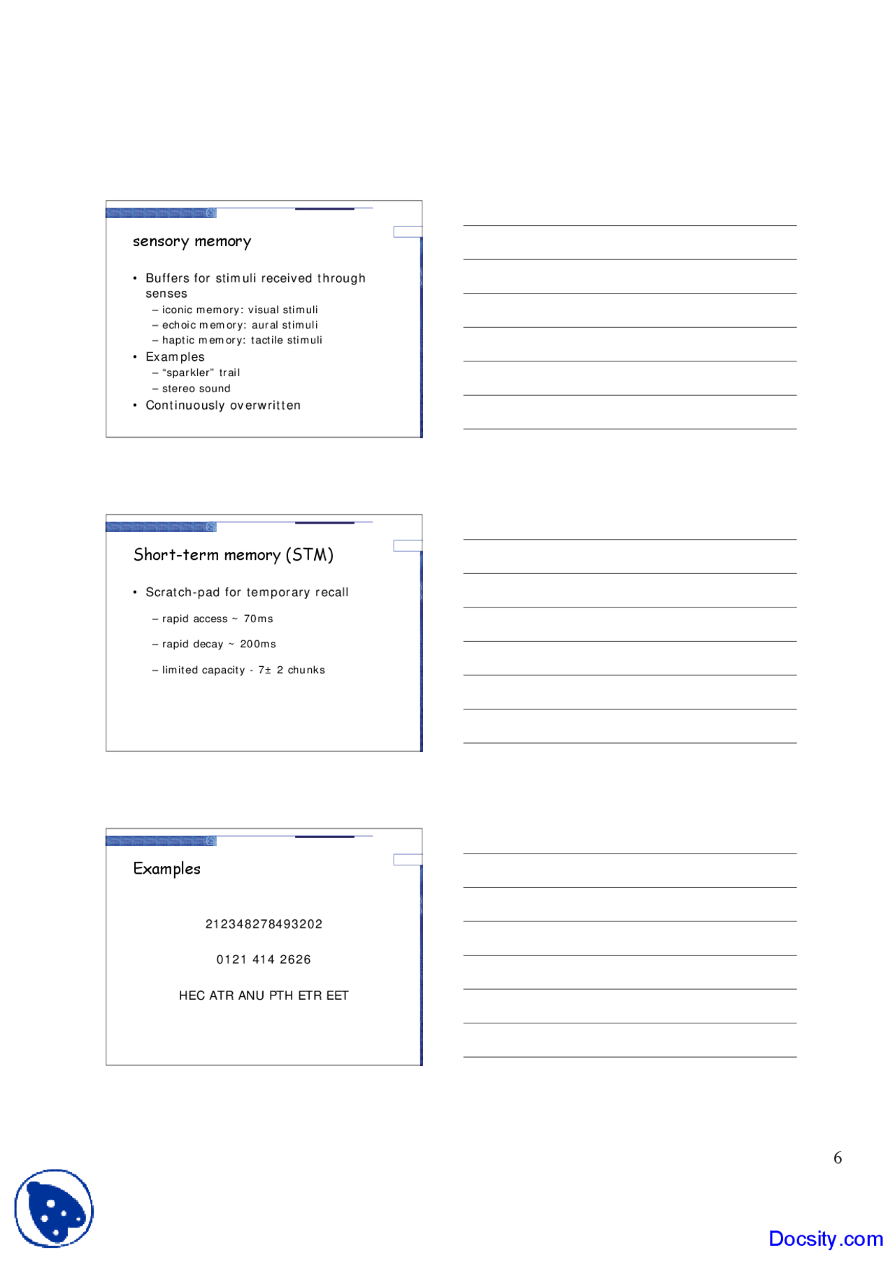 Sensory Memory Human Resource Lecture Slides Docsity