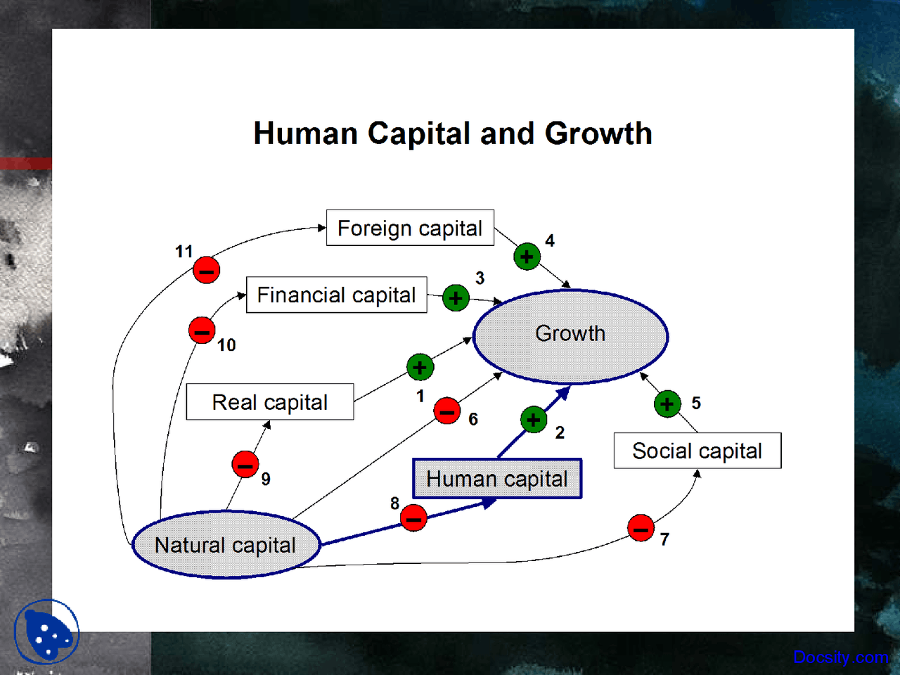 Growth And Human Capital Buisness Management Lecture Slides Docsity