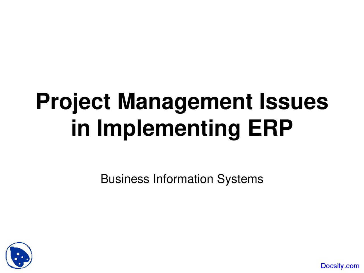 Project Management Issues In Implementing Erp Buisness Management