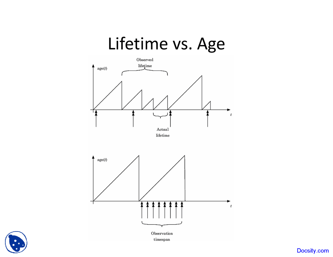 Lifetime - E-Commerce - Lecture Slides - Docsity