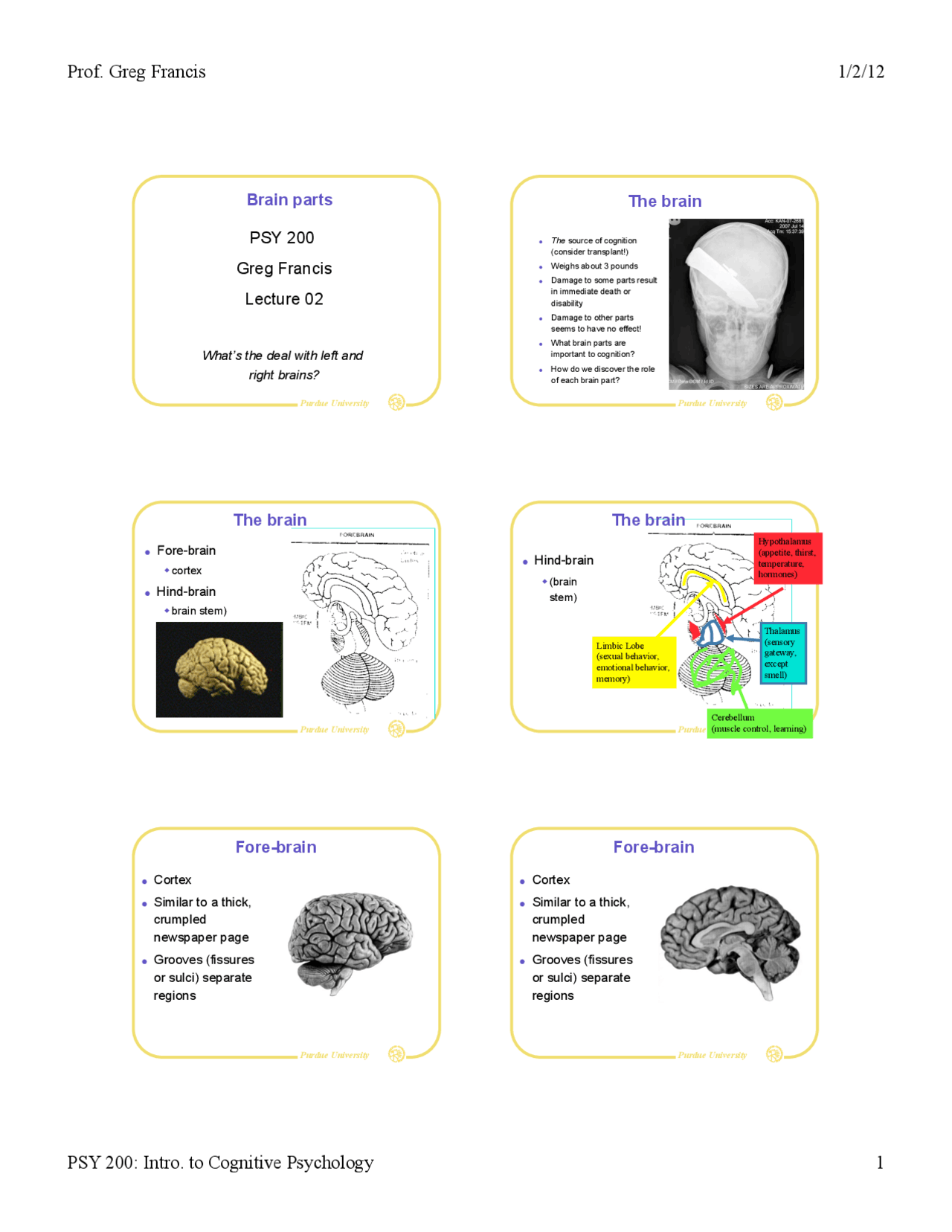 Brain Parts - Introduction to Cognitive Psychology - Lecture Slides - Docsity