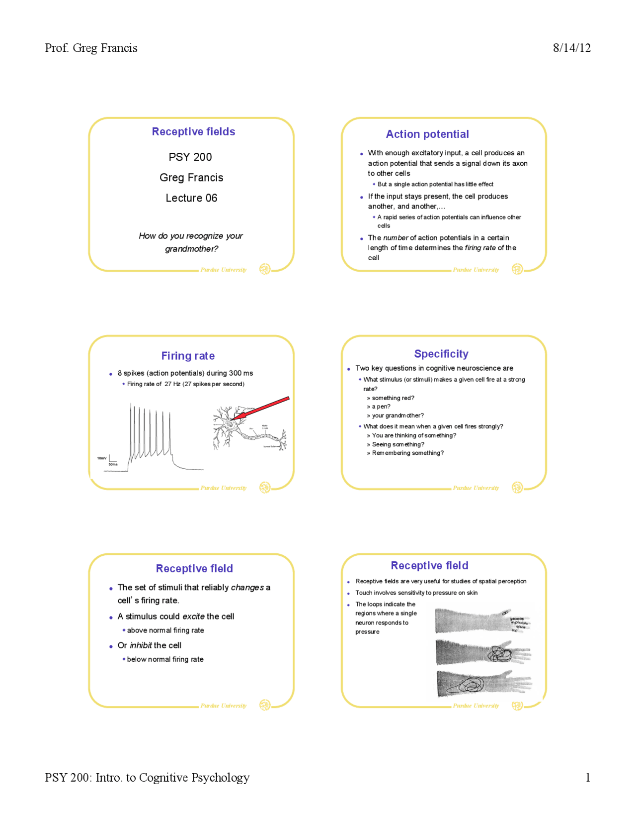 Receptive Fields - Introduction to Cognitive Psychology - Lecture Slides - Docsity