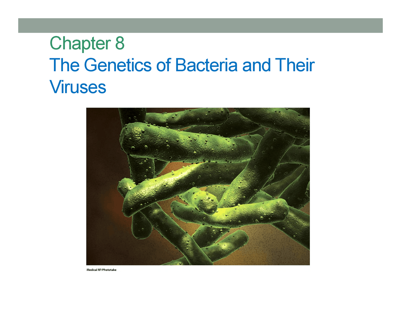 Bacterial and Viral Genetics - Genetics | BIO 328 - Docsity