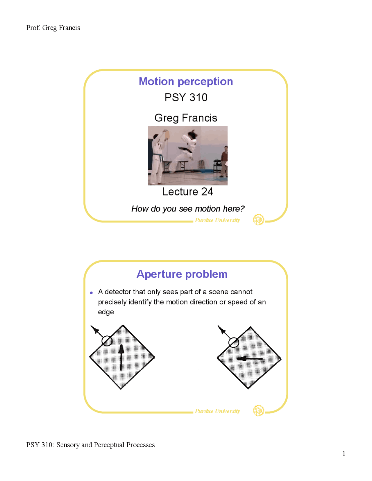 Motion Perception in Psychology: Aperture Problem, Movies, and Eye ...