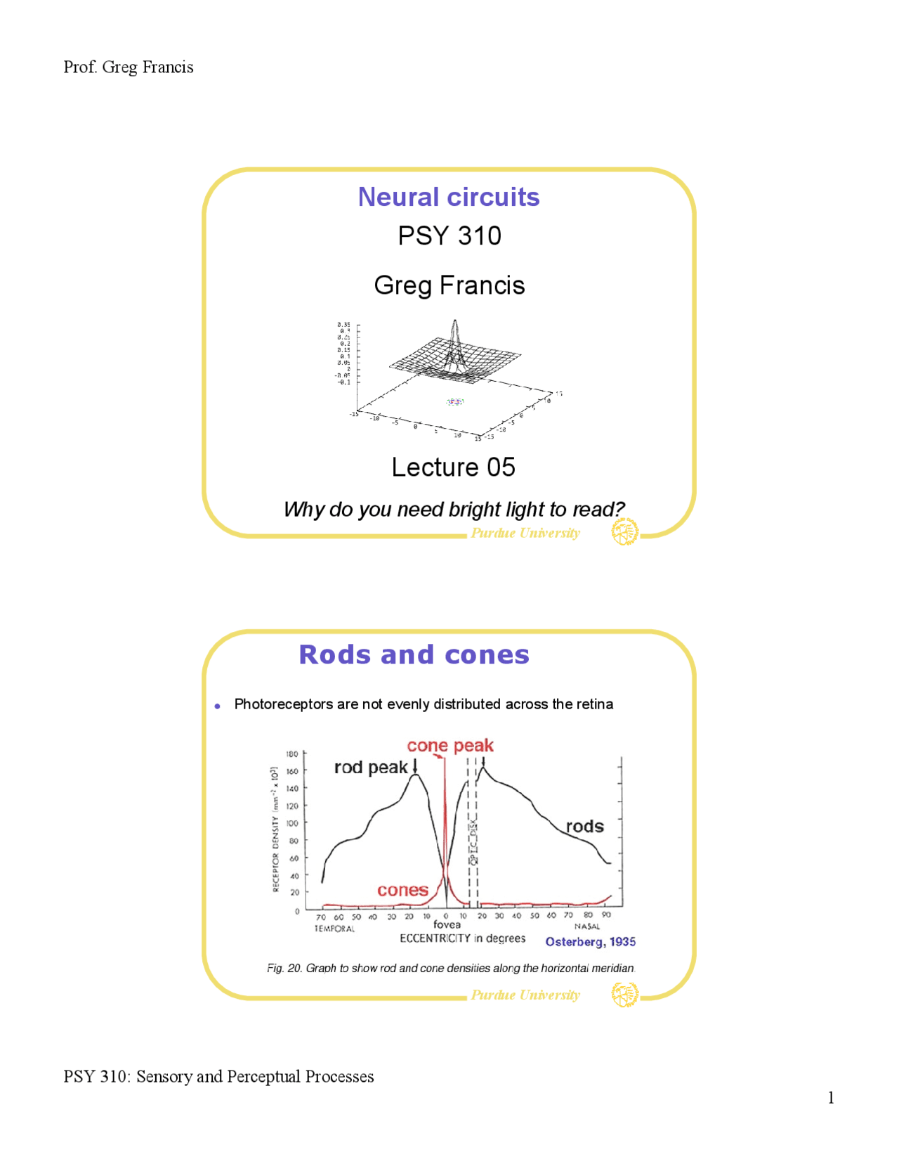 Neural Circuits Sensory And Perceptual Processes Lecture Slides