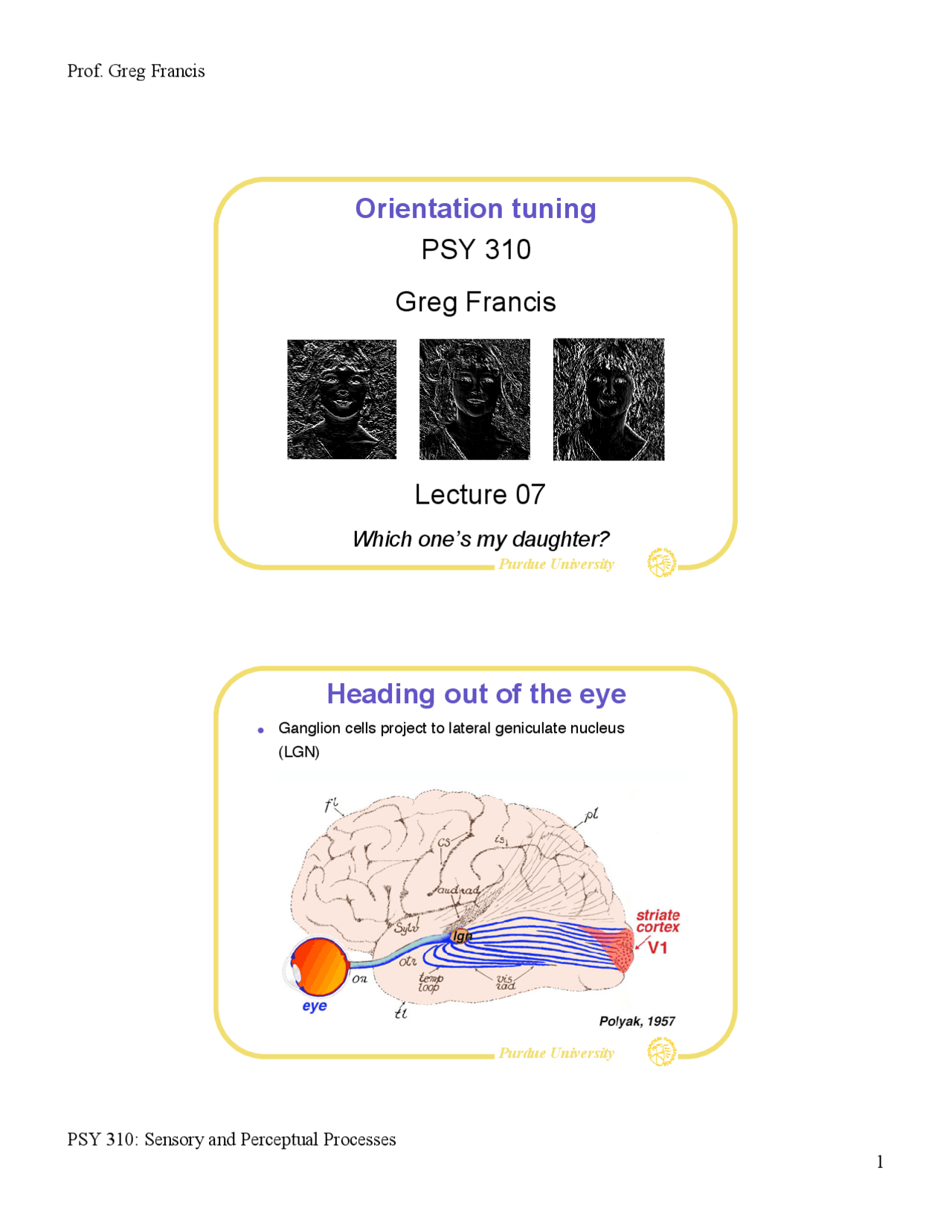 Orientation Tuning Sensory And Perceptual Processes Lecture Slides