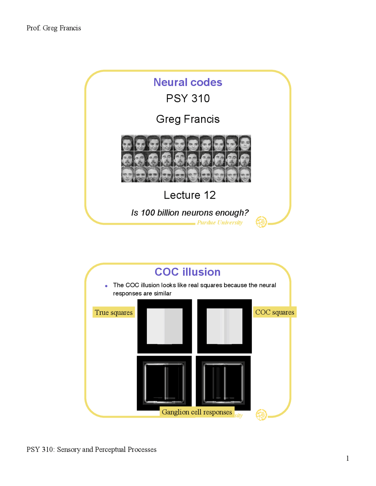 Neural Codes Coc Illusion Sensory And Perceptual Processes Lecture