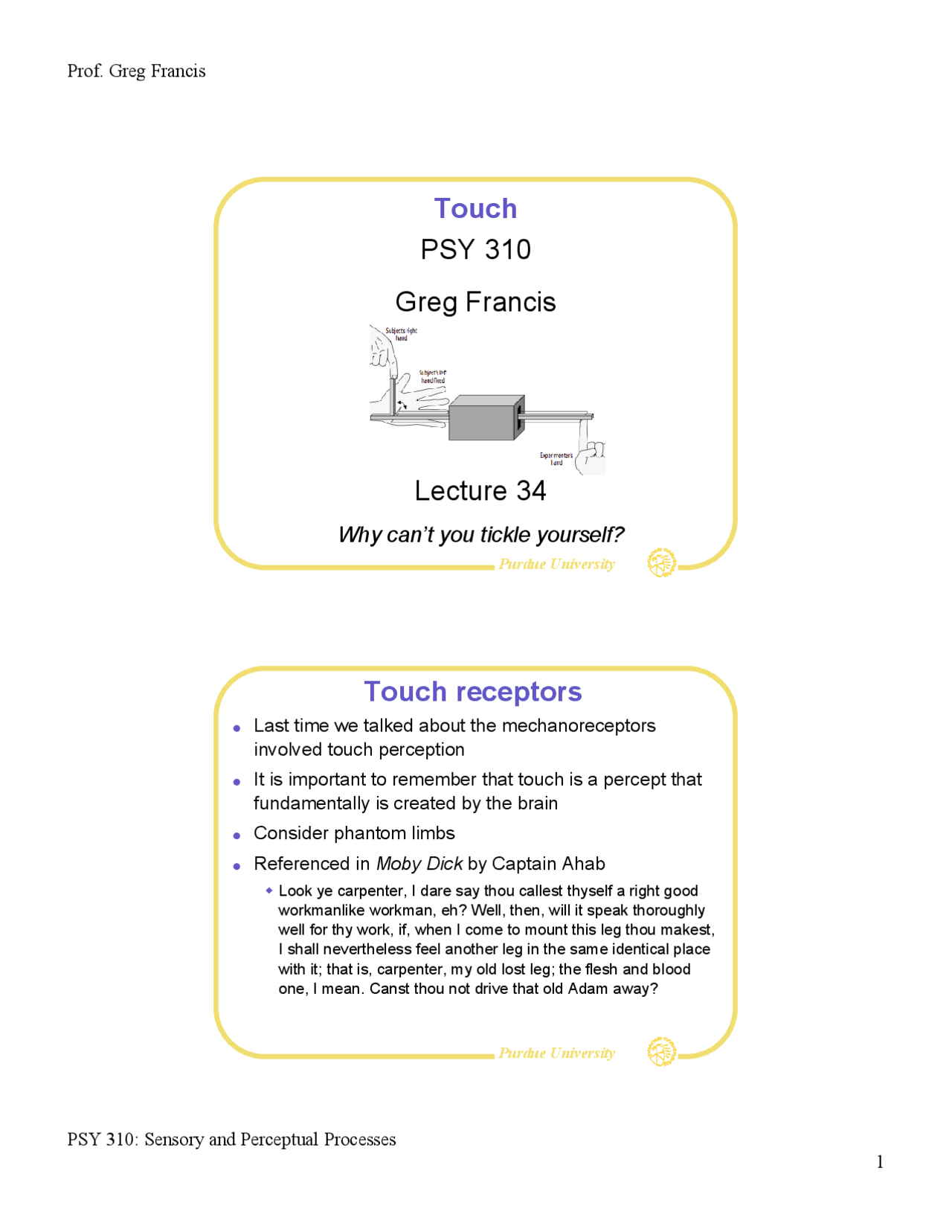 Touch Sensory And Perceptual Processes Lecture Slides Docsity