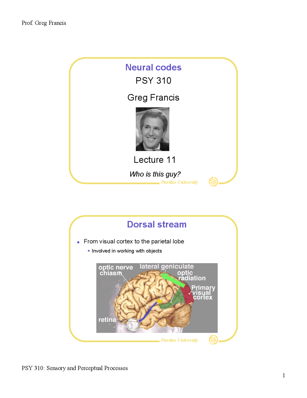 Neural Codes Sensory And Perceptual Processes Lecture Slides Docsity