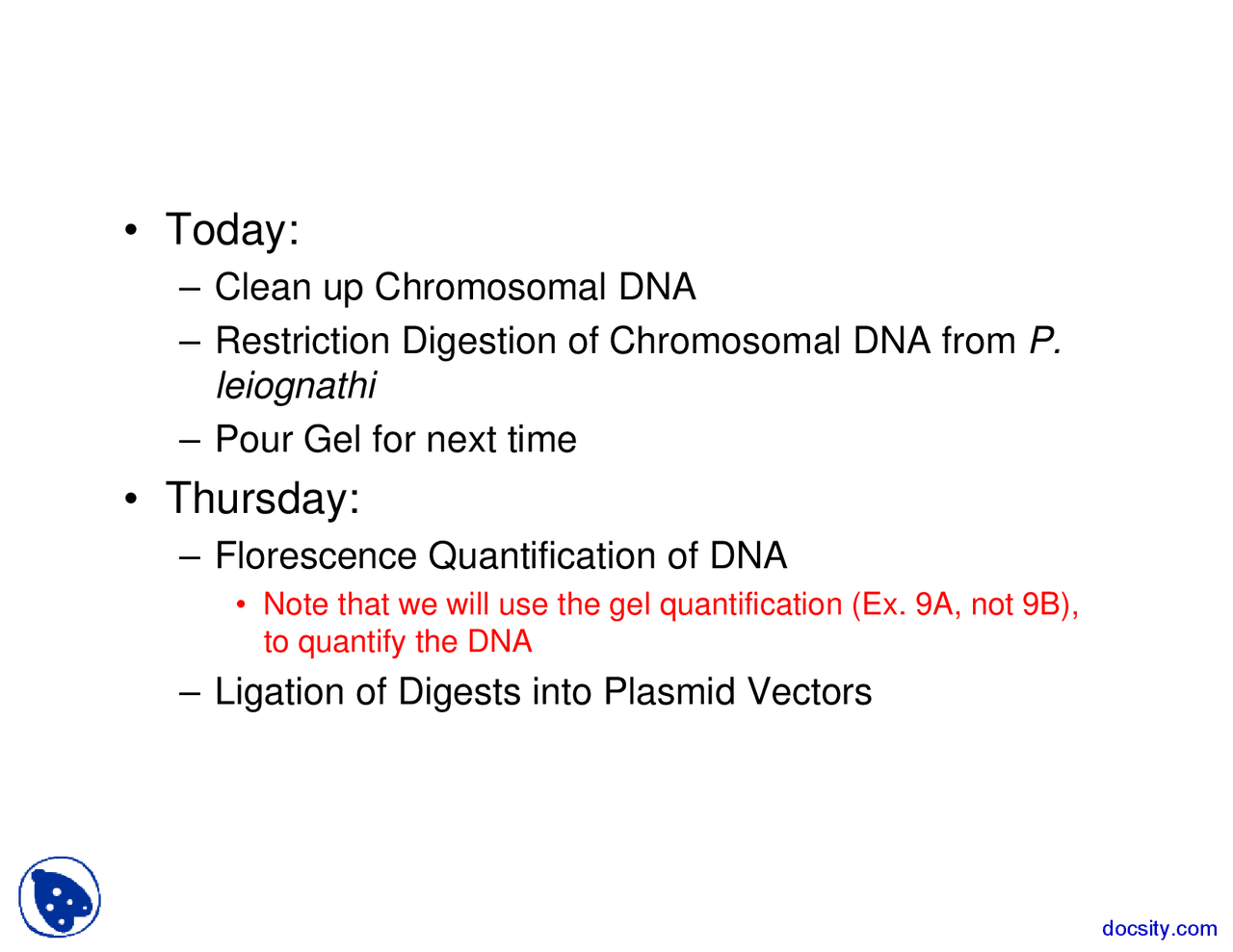 Restriction Digest of Chromosomal DNA - Recombinant DNA Laboratory ...