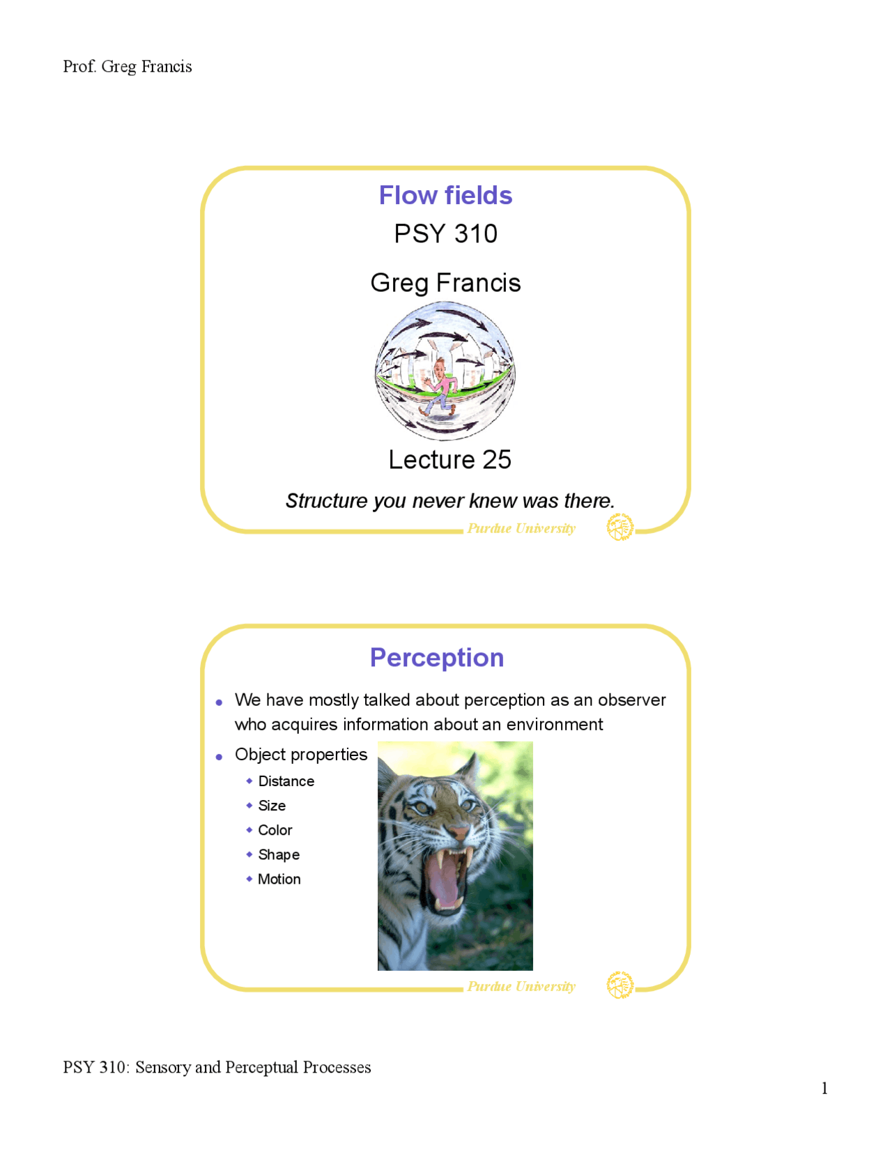 Flow Fields Sensory And Perceptual Processes Lecture Slides Docsity