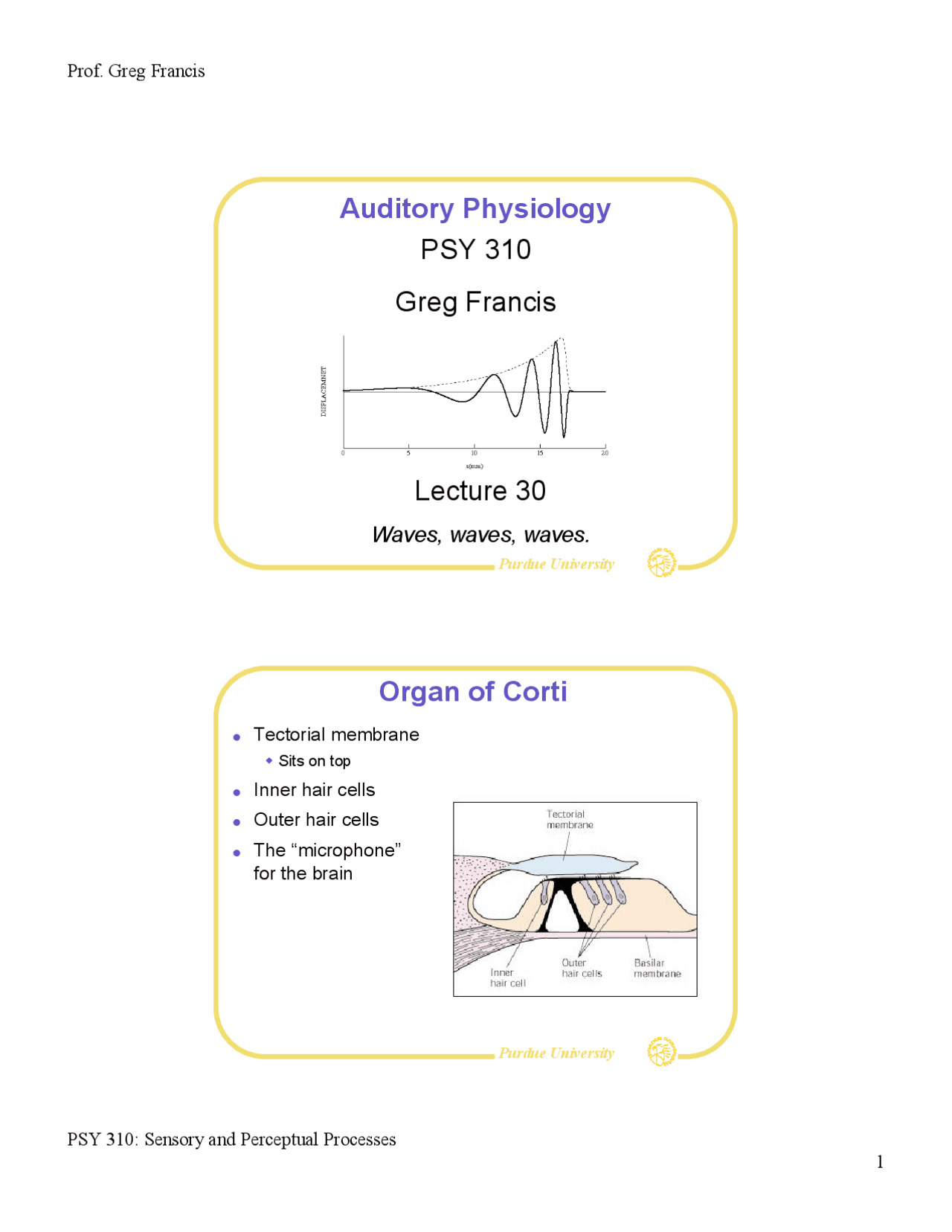 Auditory Physiology Waves Sensory And Perceptual Processes Lecture