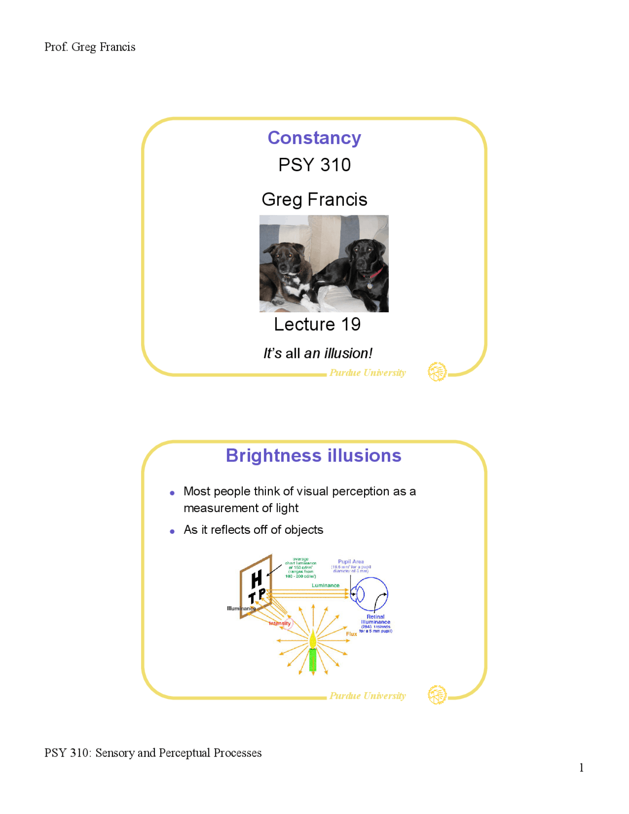 Constancy Sensory And Perceptual Processes Lecture Slides Docsity