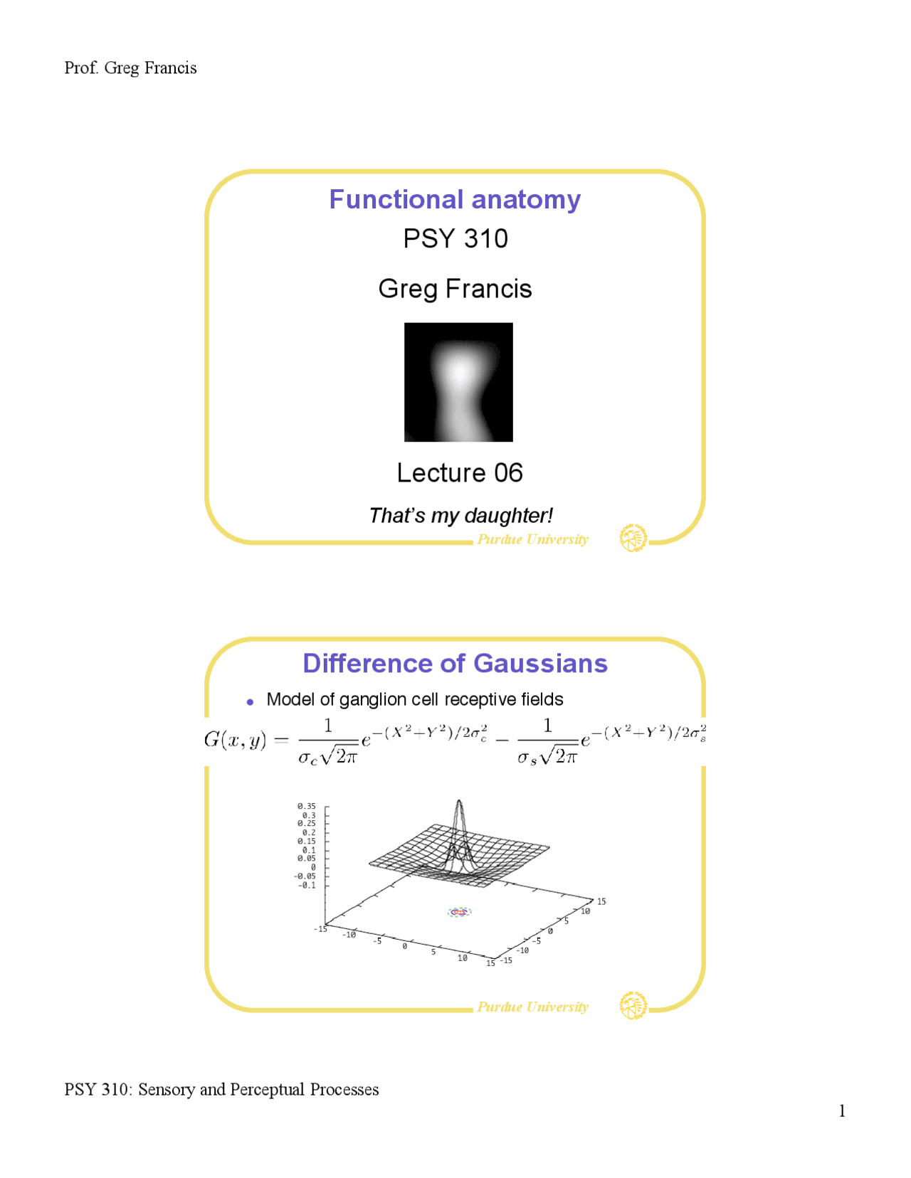 Functional Anatomy Sensory And Perceptual Processes Lecture Slides