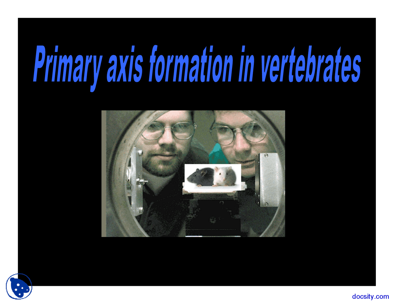 Vertebrates The Beginning Of Life Lecture Slides Docsity