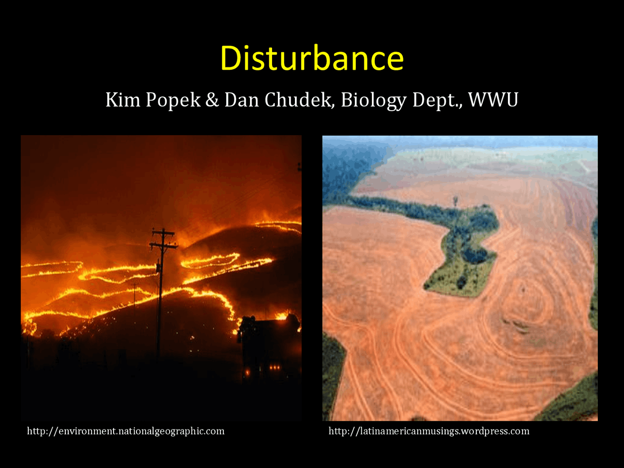 Disturbance - Biological Invasions - Lecture Slides - Docsity