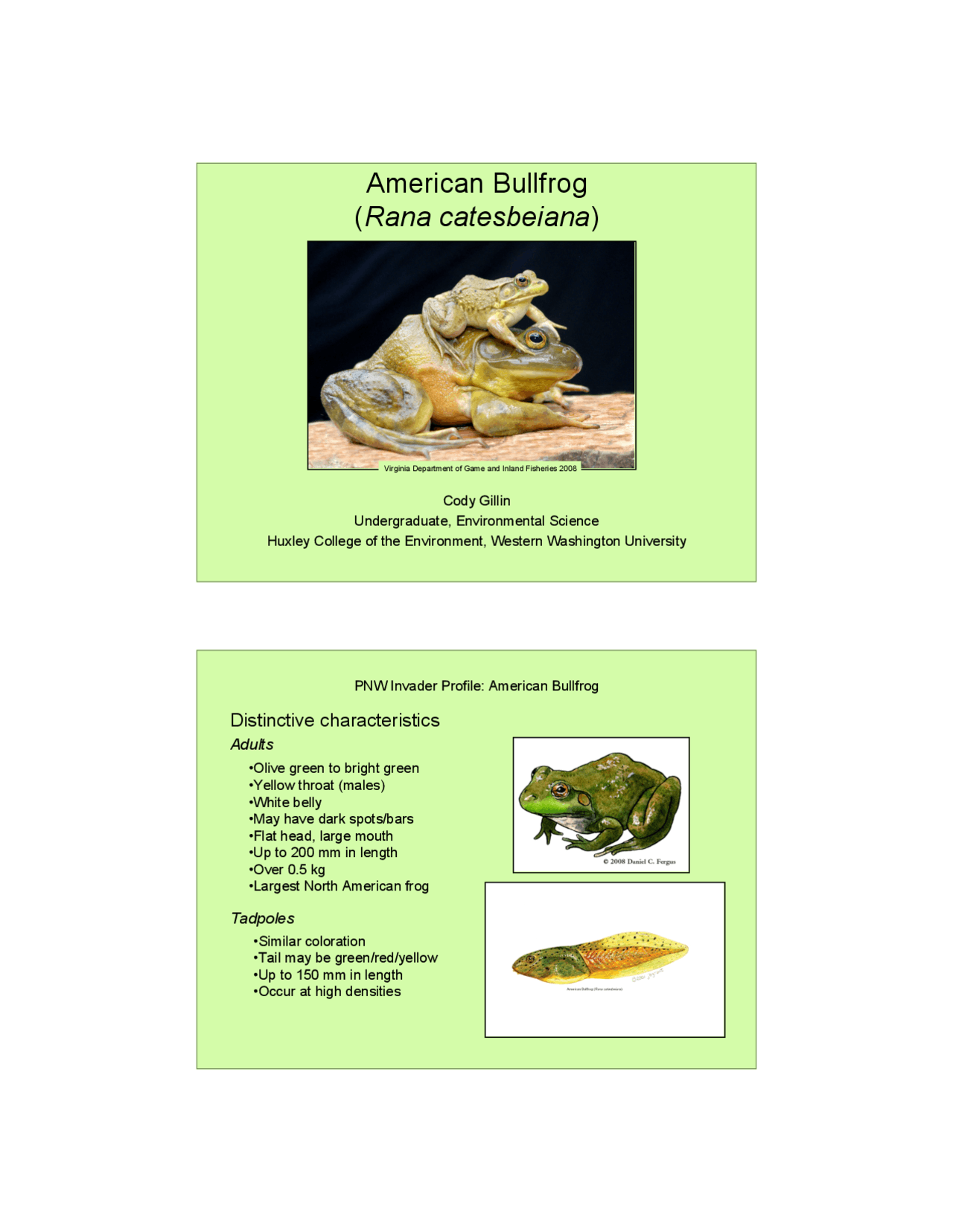 Bullfrog - Biological Invasions - Lecture Slides - Docsity
