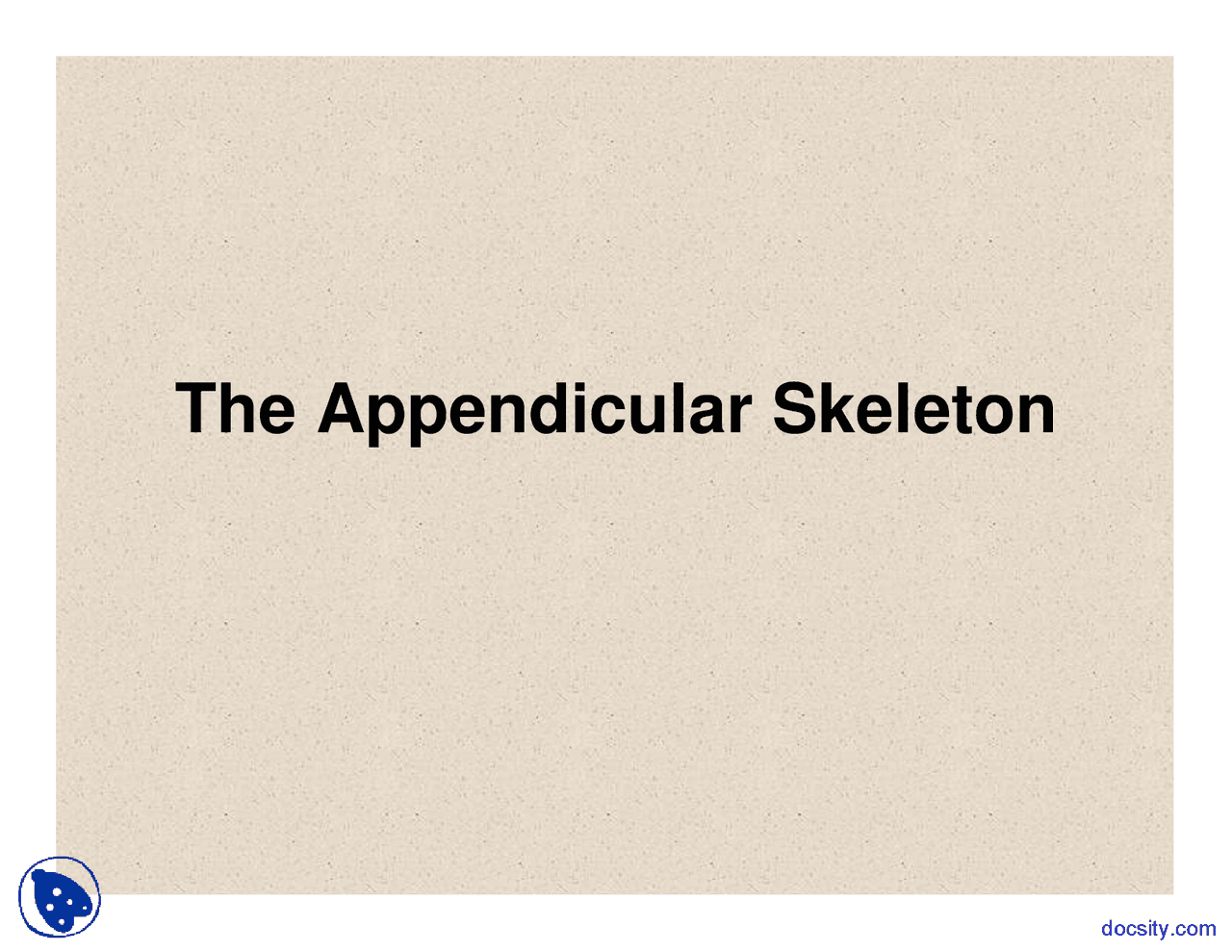 Appendicular Skeleton Anatomy And Physiology Lab Lecture Slides