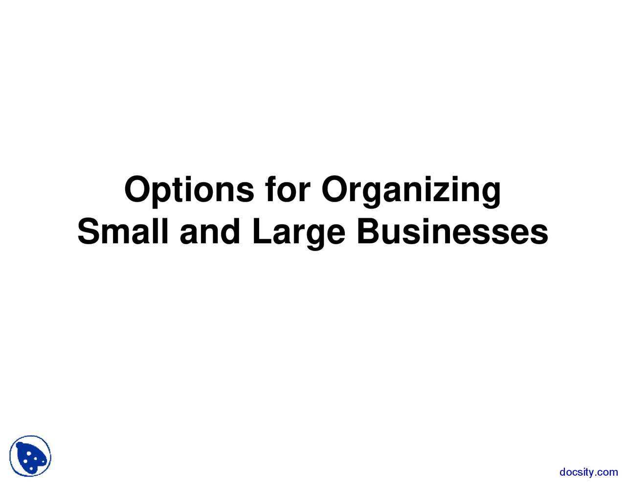 Options For Organizing Small And Large Businesses Introduction To