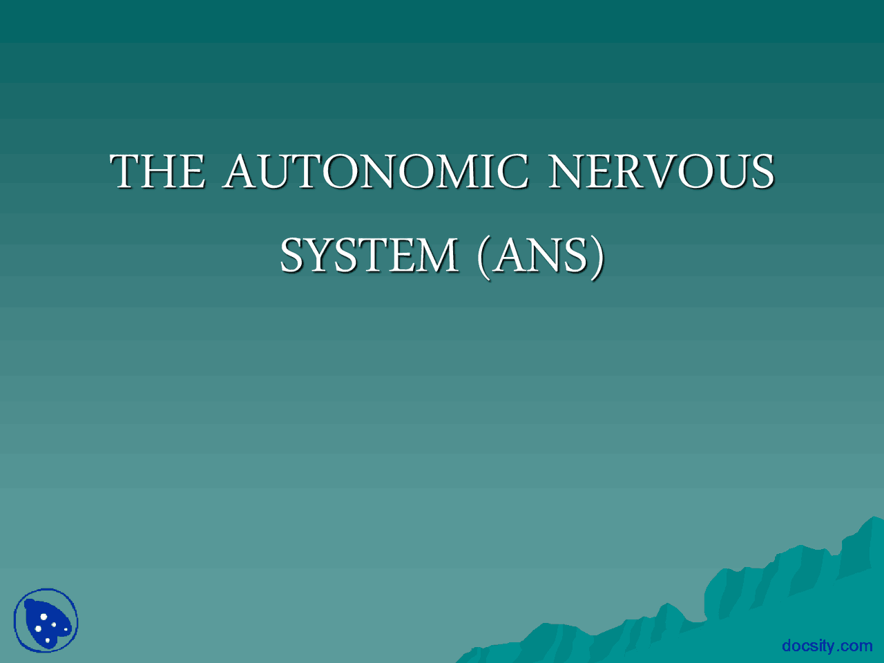 Autonomic Nervous System - Anatomy and Physiology LAB - Lecture Slides ...