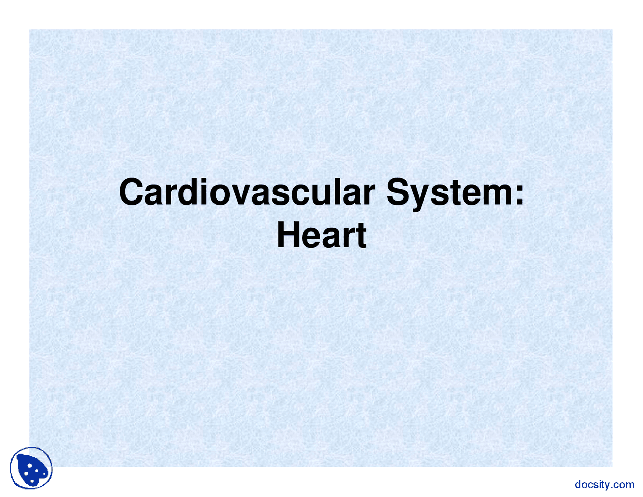 Cardiovascular System Anatomy And Physiology Lab Lecture Slides