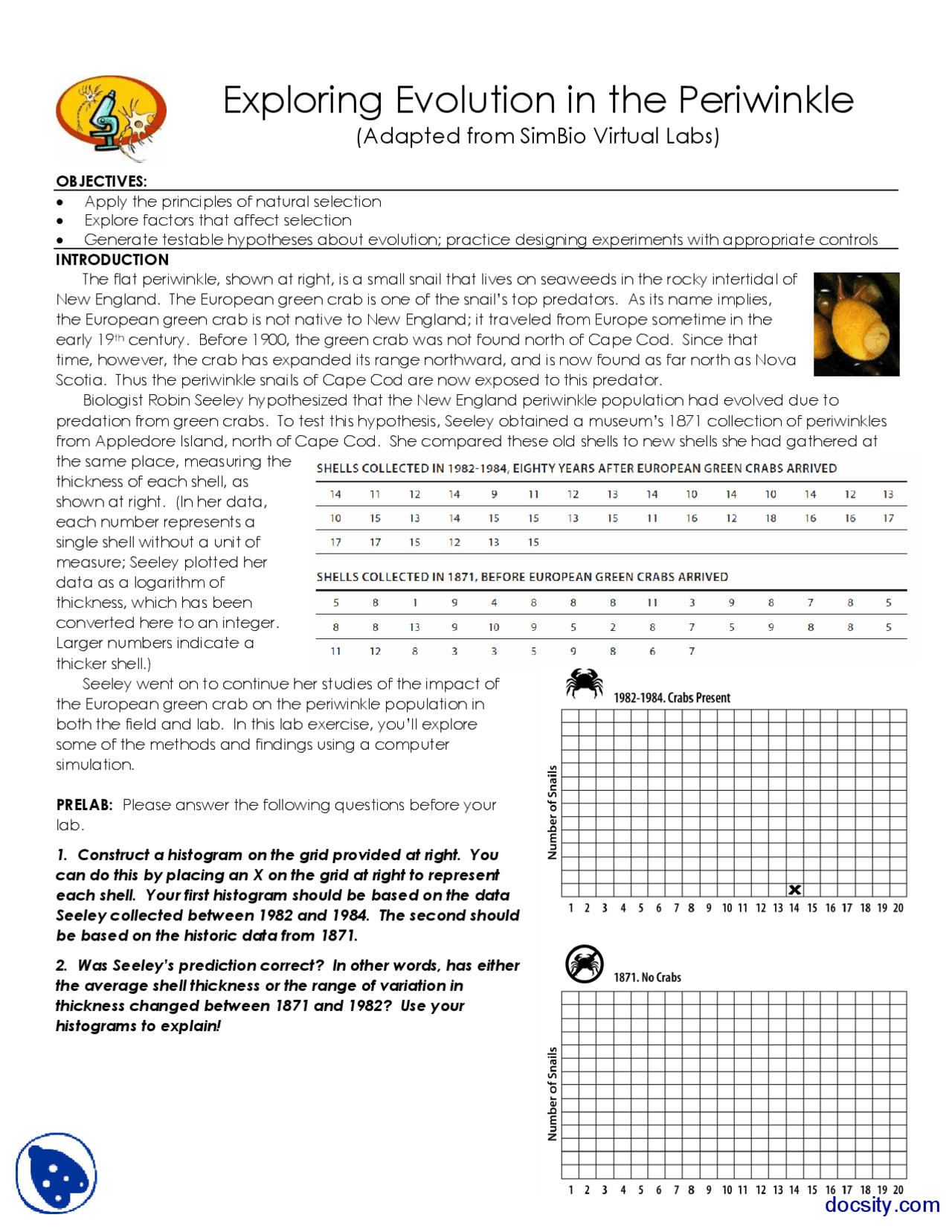 Evolution in Periwinkles - Biology - Lab Handout | Exercises Biology ...
