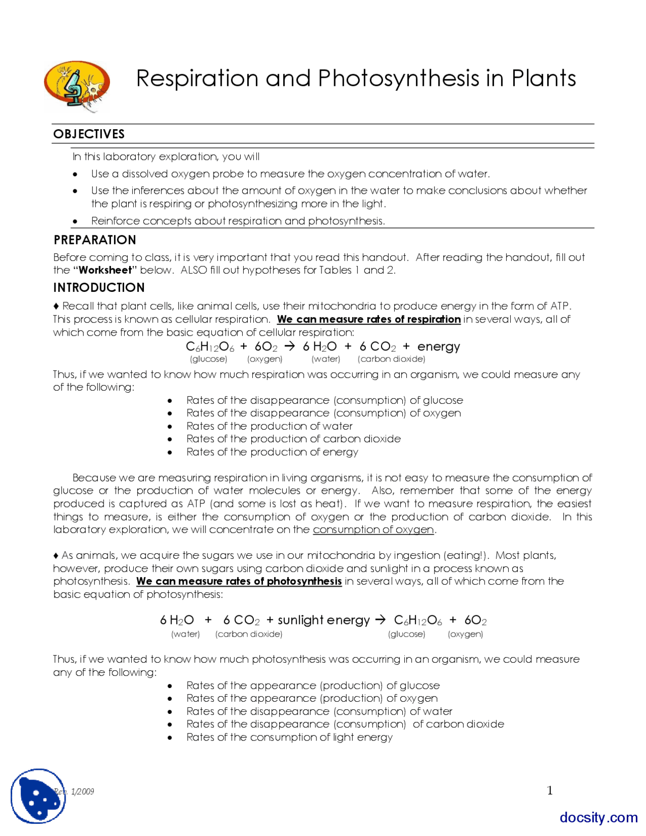 Photosynthesis and Respiration - Biology - Lab Handout - Docsity