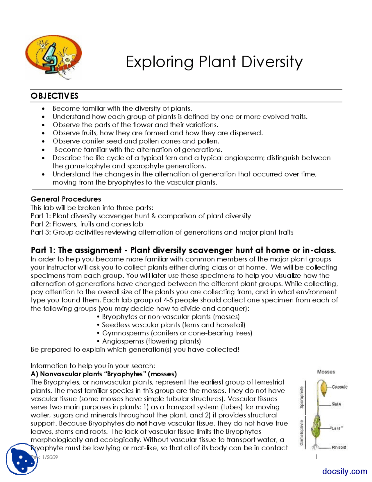 Plant Diversity - Biology - Lab Handout | Exercises Biology | Docsity
