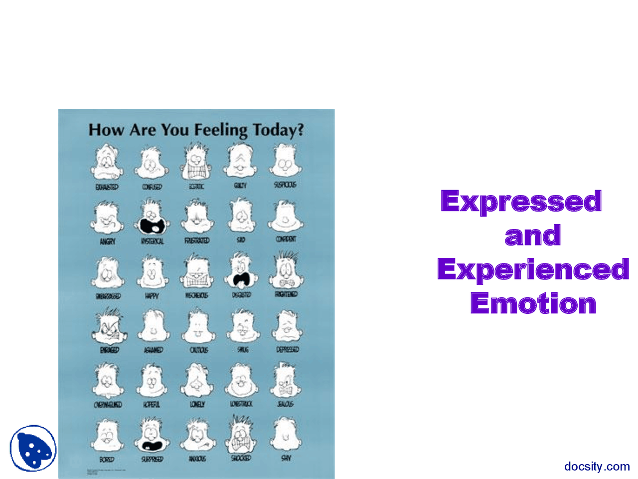 Understanding Emotion: Expressing, Experiencing, and Interpreting ...