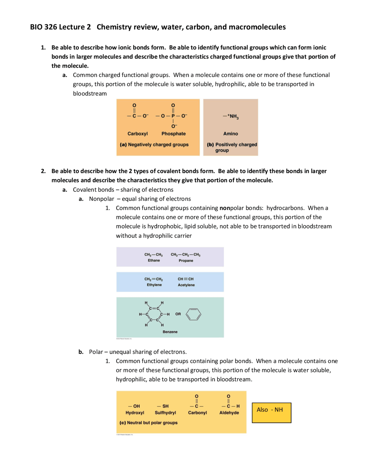 Chemistry Review, Water, Carbon and Macromolecules | BIO 113 - Docsity