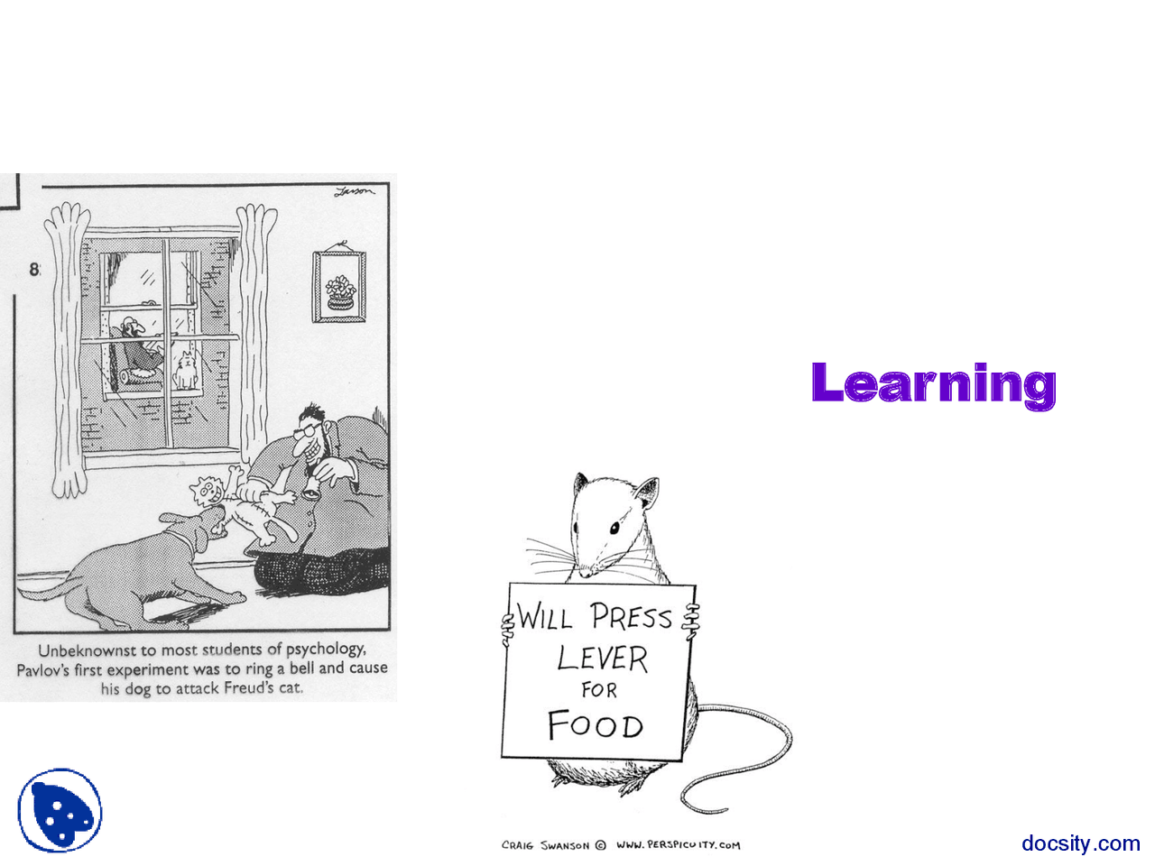 Learning General Psychology Lecture Slides Docsity